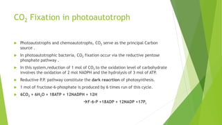 Photoautotrophs(Darshan Bhuva).pptx