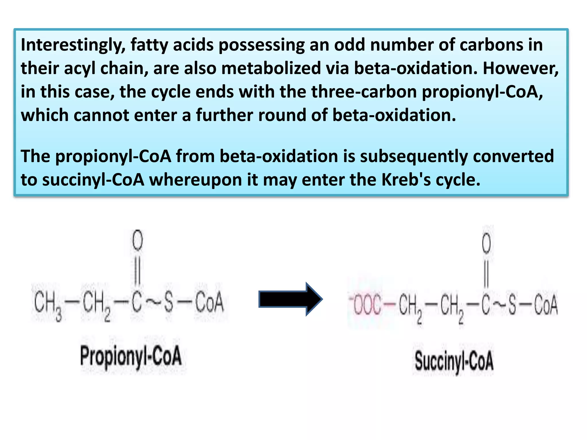 The Metabolism of Fats | PPTX