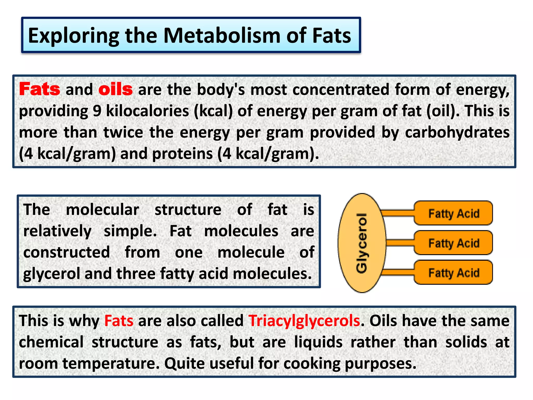 The Metabolism of Fats | PPTX