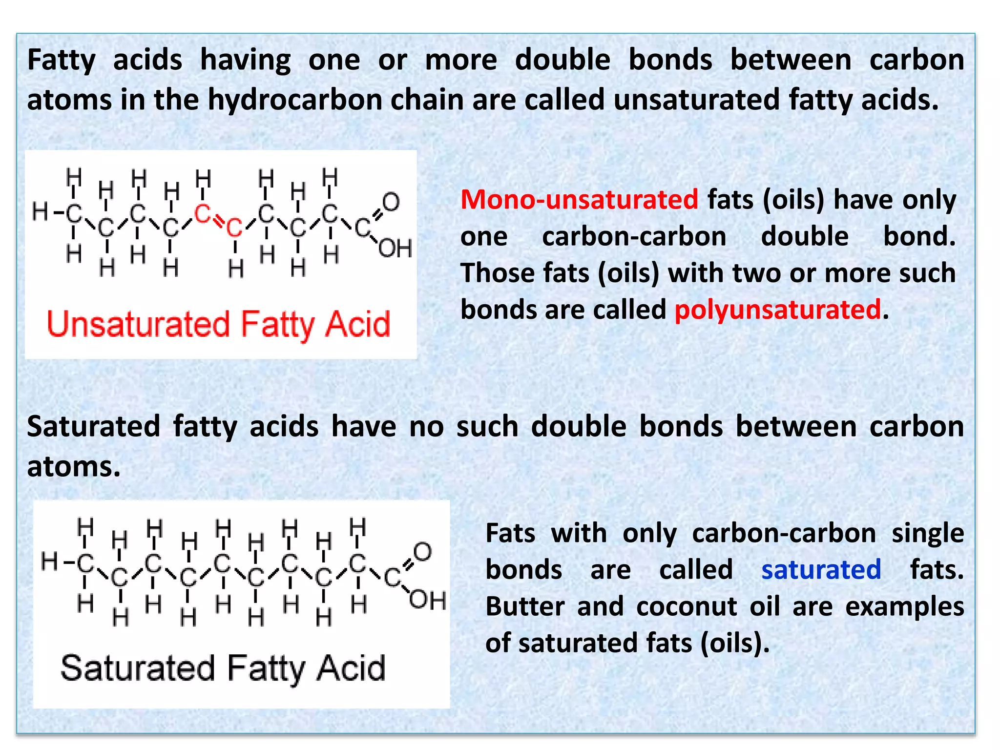 The Metabolism of Fats | PPTX