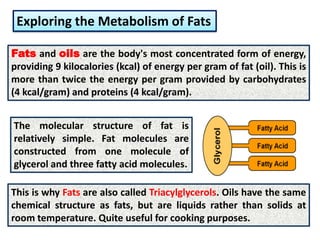 The Metabolism of Fats | PPTX