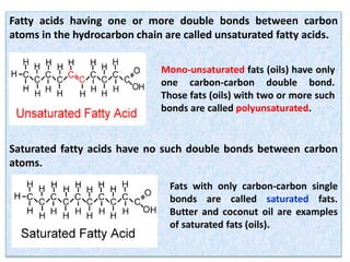 The Metabolism of Fats | PPTX