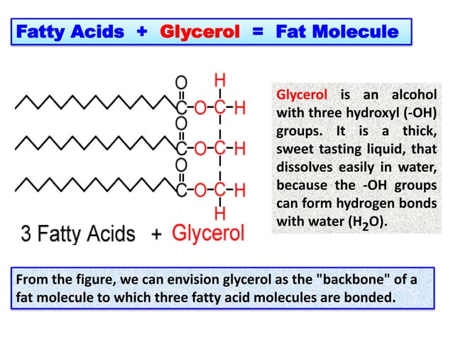 The Metabolism of Fats | PPTX | Endocrine and Metabolic Diseases ...