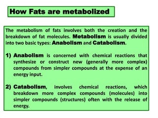 The Metabolism of Fats | PPTX