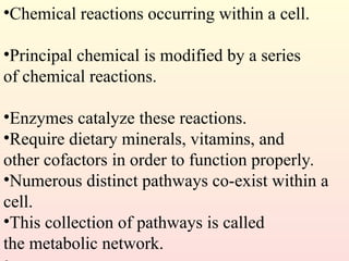 metabolism (3).ppt powerpoint presentation | PPT