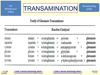 Metabolism protein and fat | PPT