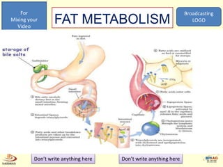Metabolism protein and fat | PPTX