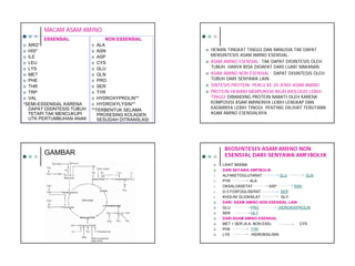 Metabolisma asam amino | PDF