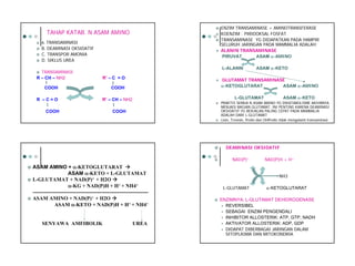 Metabolisma asam amino | PDF