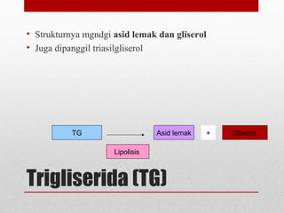 Metabolisma lipid | PPT