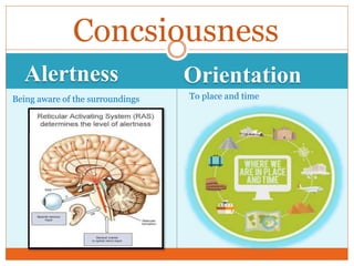 Metabolism and consciousness | PPT