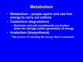 Metabolism and diet | PPT