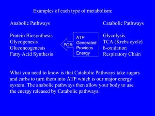Metabolism and diet | PPT