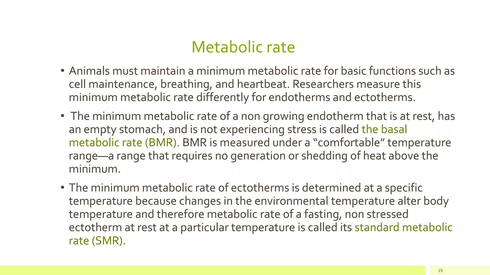 Metabolism and energy supply | PPTX