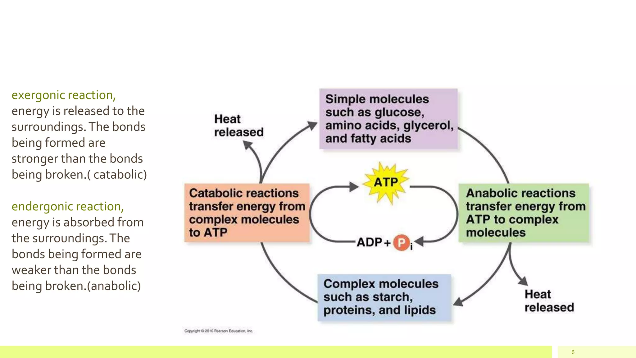 Metabolism and energy supply | PPTX