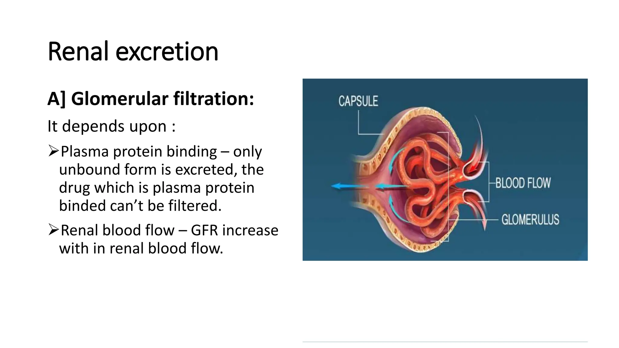 Metabolism and Excretion.pptx