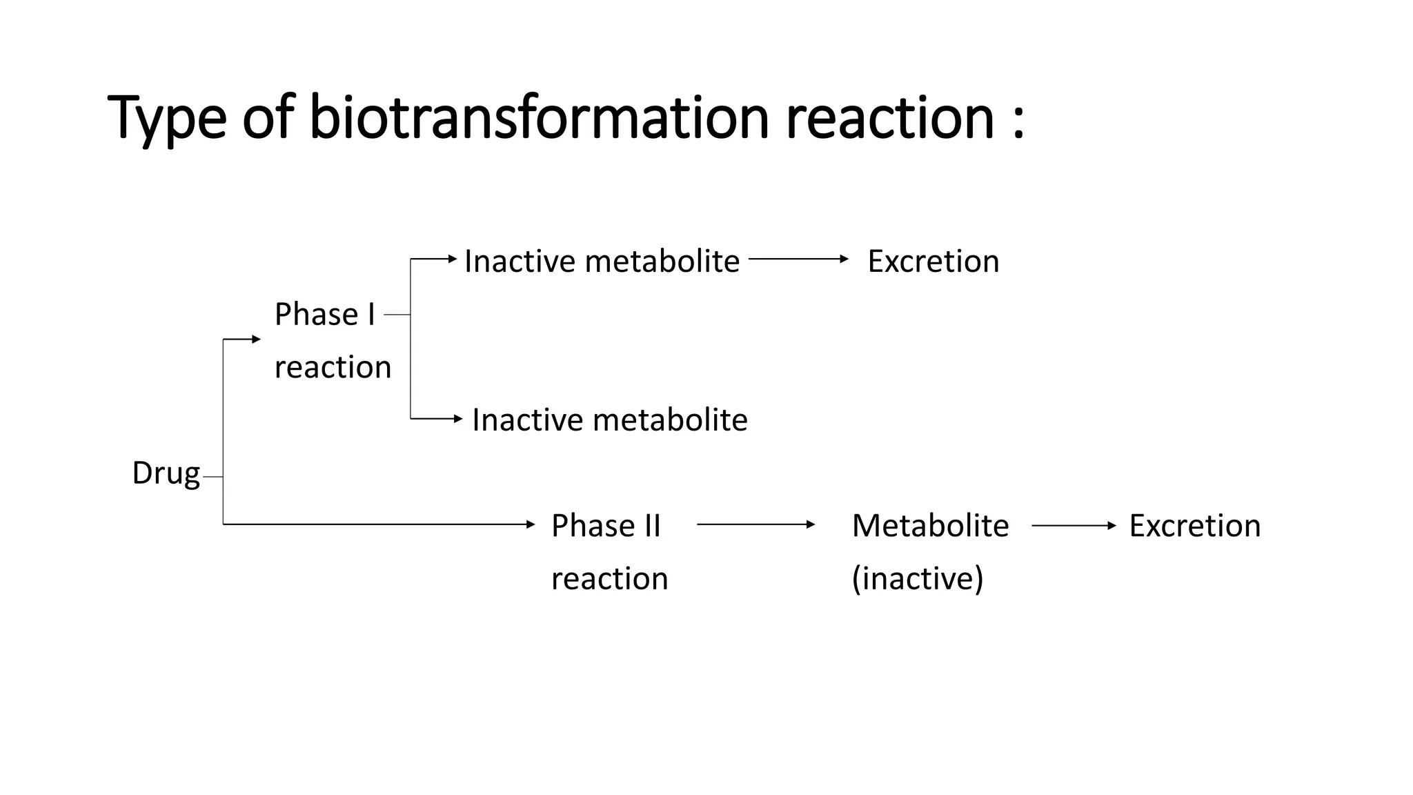 Metabolism and Excretion.pptx