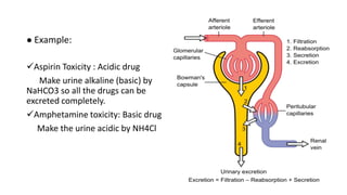 Metabolism and Excretion.pptx