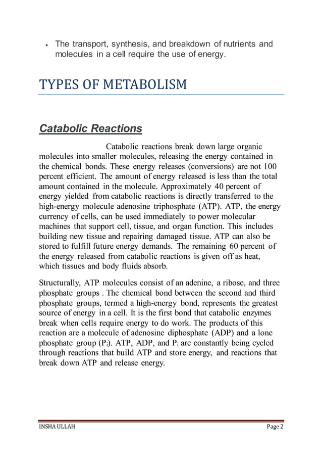Metabolism and its types | DOCX