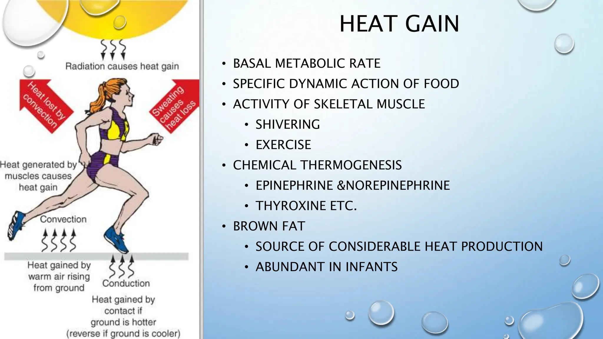 Metabolism and Temperature Regulation.pptx