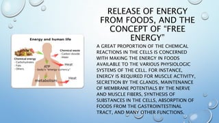Metabolism and Temperature Regulation.pptx