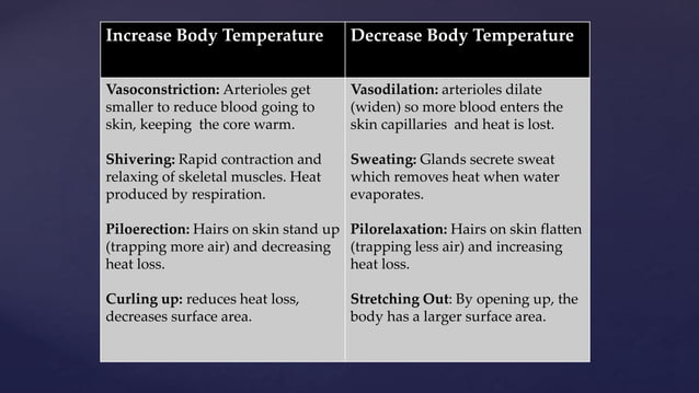 Metabolism and thermoregulation | PPTX | Endocrine and Metabolic ...