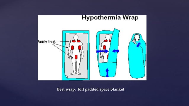 Metabolism and thermoregulation | PPTX | Endocrine and Metabolic ...