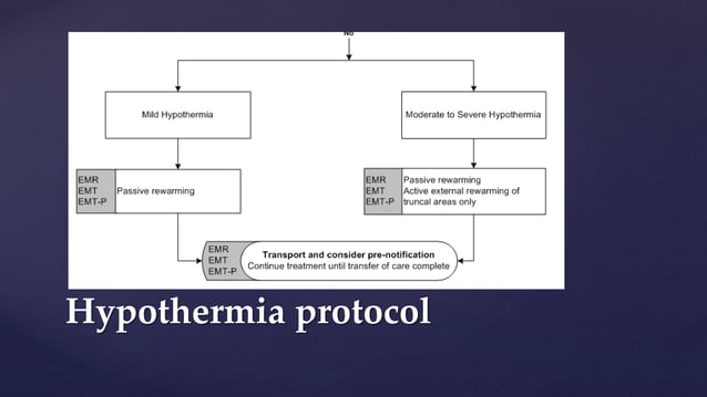 Metabolism and thermoregulation | PPTX | Endocrine and Metabolic ...