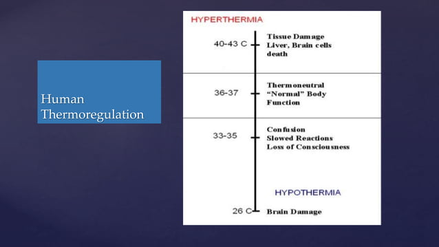 Metabolism and thermoregulation | PPTX | Endocrine and Metabolic ...