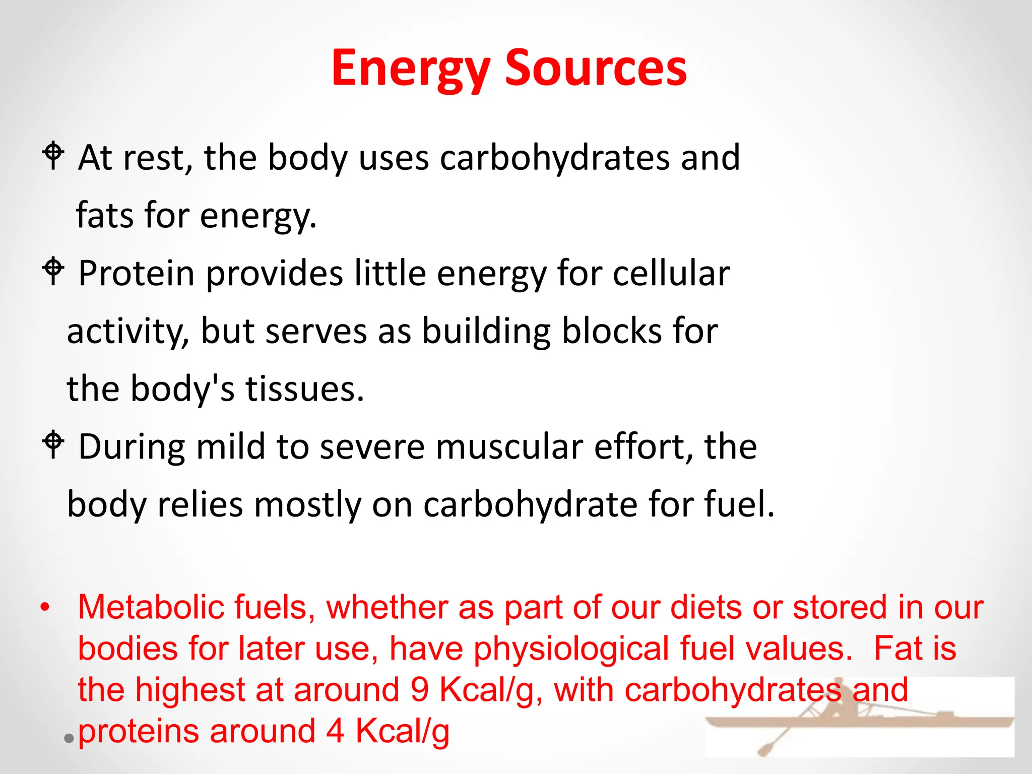 metabolismb.pptx