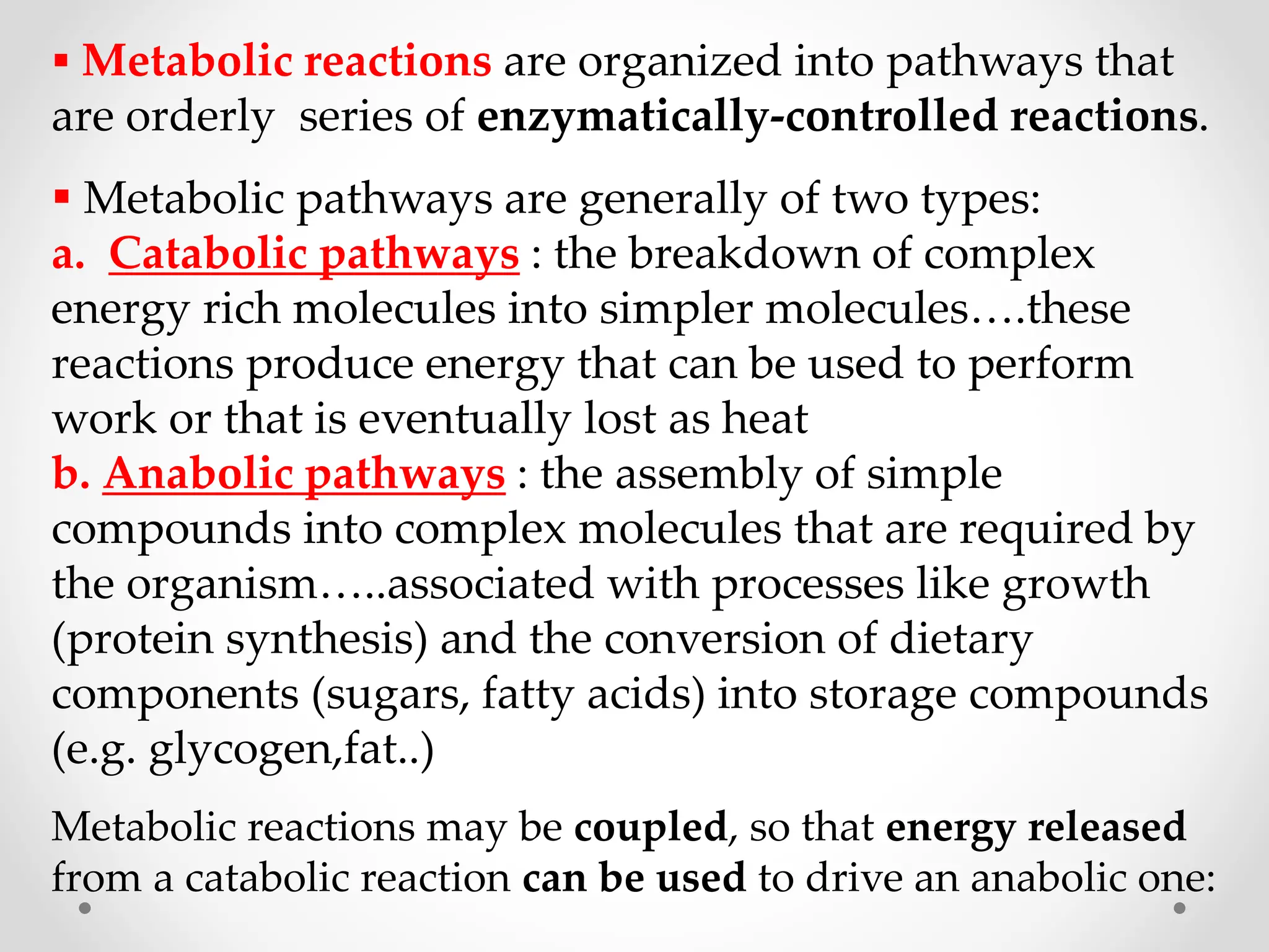 metabolismb.pptx