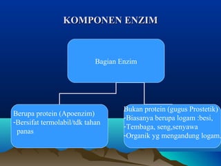 Metabolisme | PPT