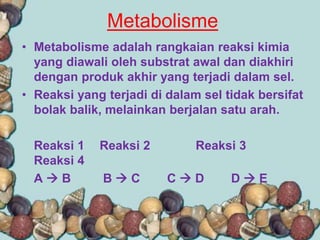 Metabolisme | PPTX