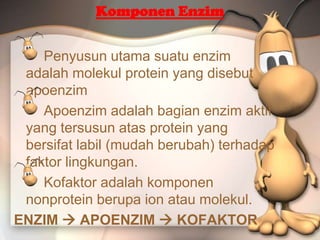 Metabolisme | PPTX