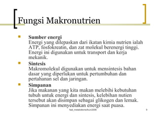 Metabolisme | PPT