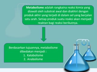 Metabolisme | PPTX