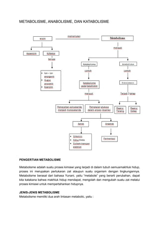 Metabolisme | PDF