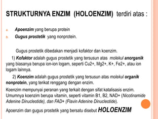 Metabolisme | PPTX