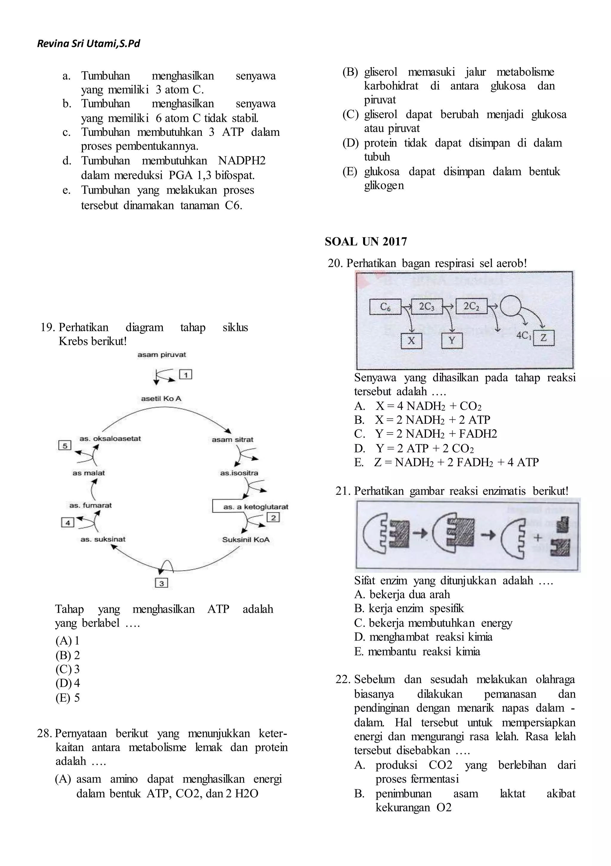 METABOLISME | DOCX