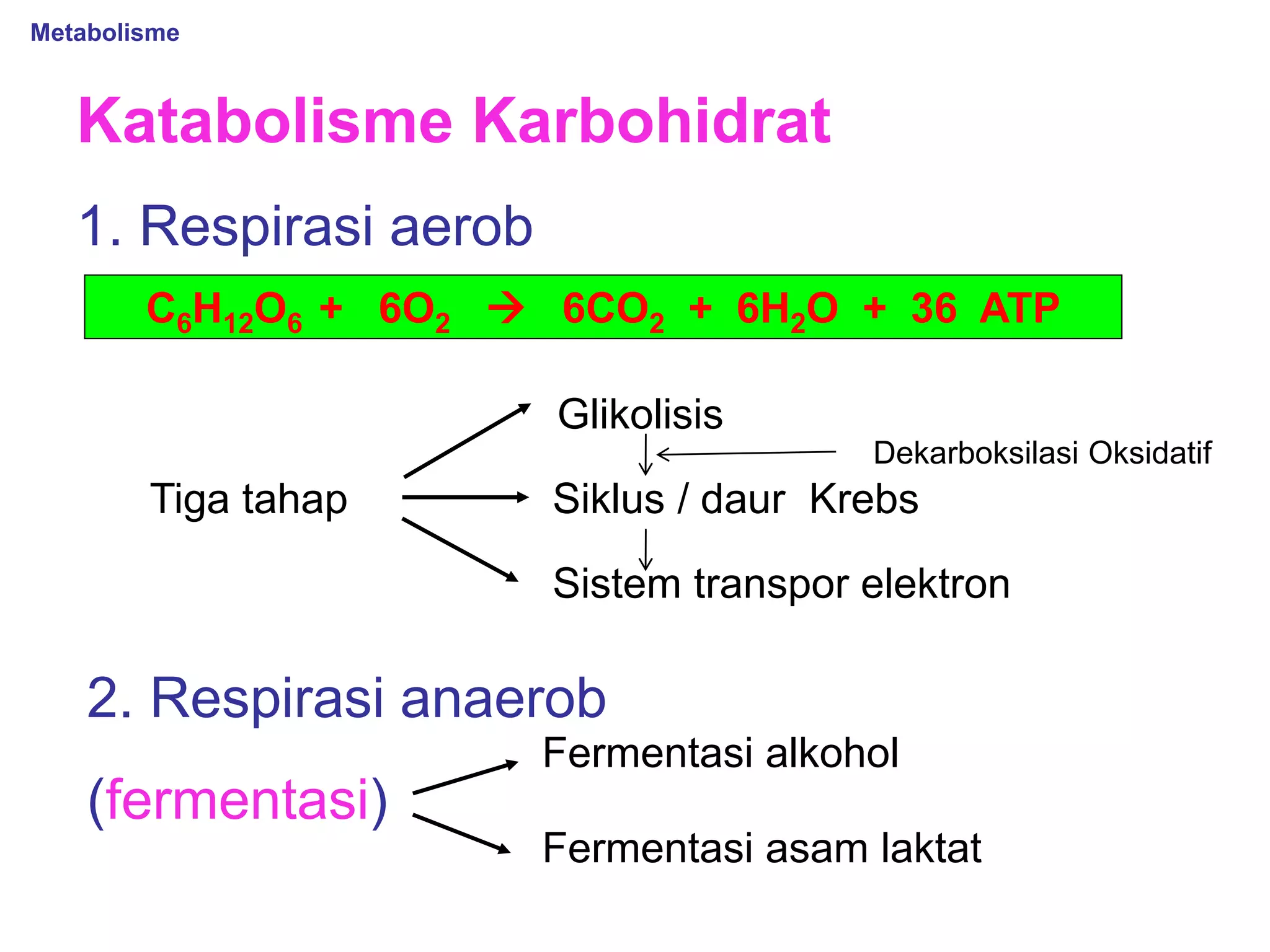 metabolisme-21.ppt