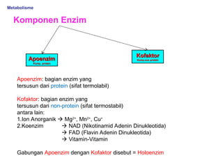 metabolisme-21.ppt metabolisme smansmana | PPT