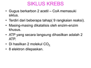 Metabolisme.ppt
