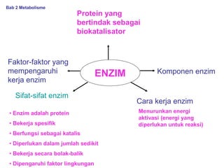 Metabolisme.ppt