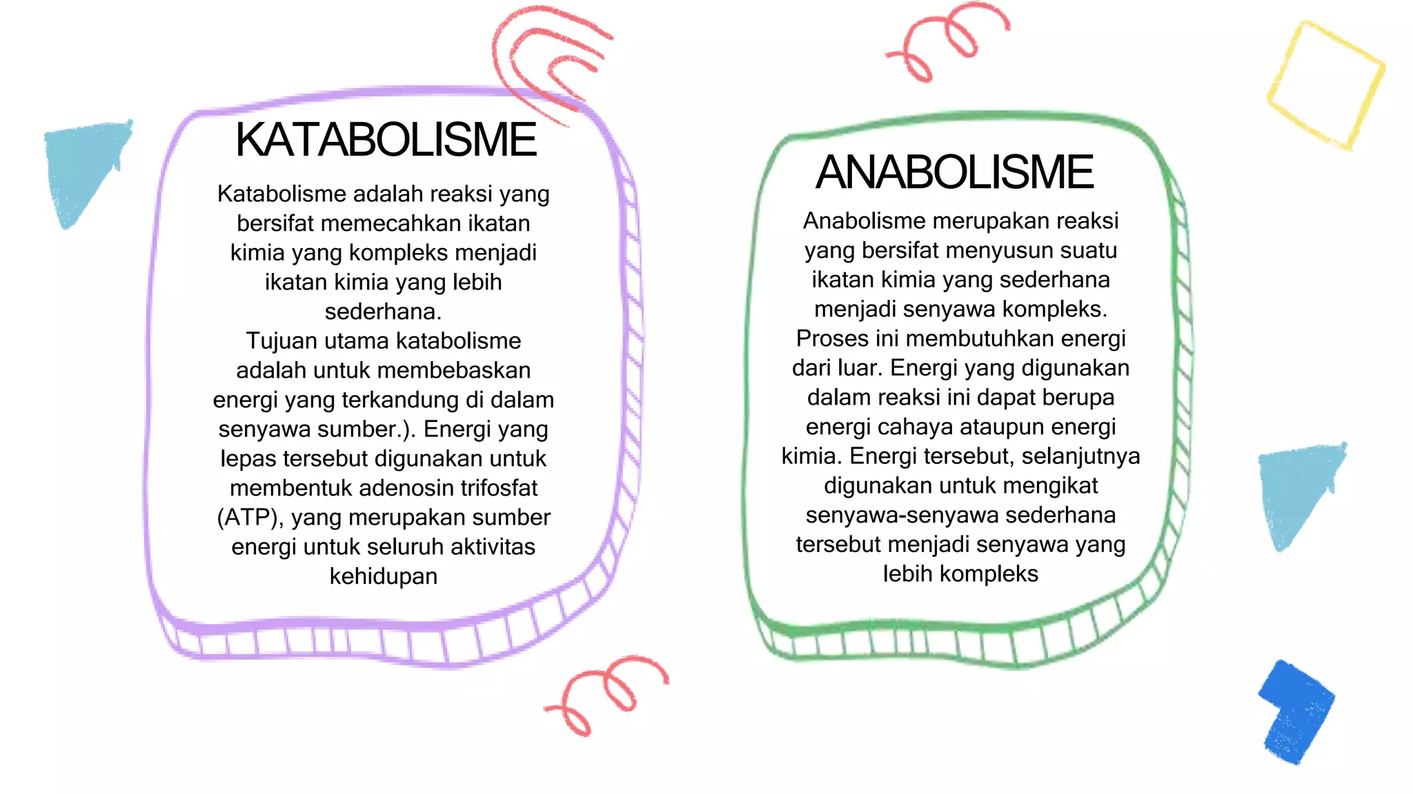 METABOLISME.pptx