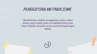 metabolisme.pptx