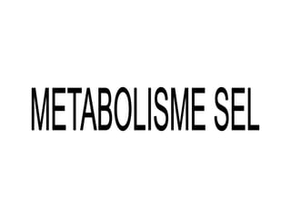 Metabolism.ppt