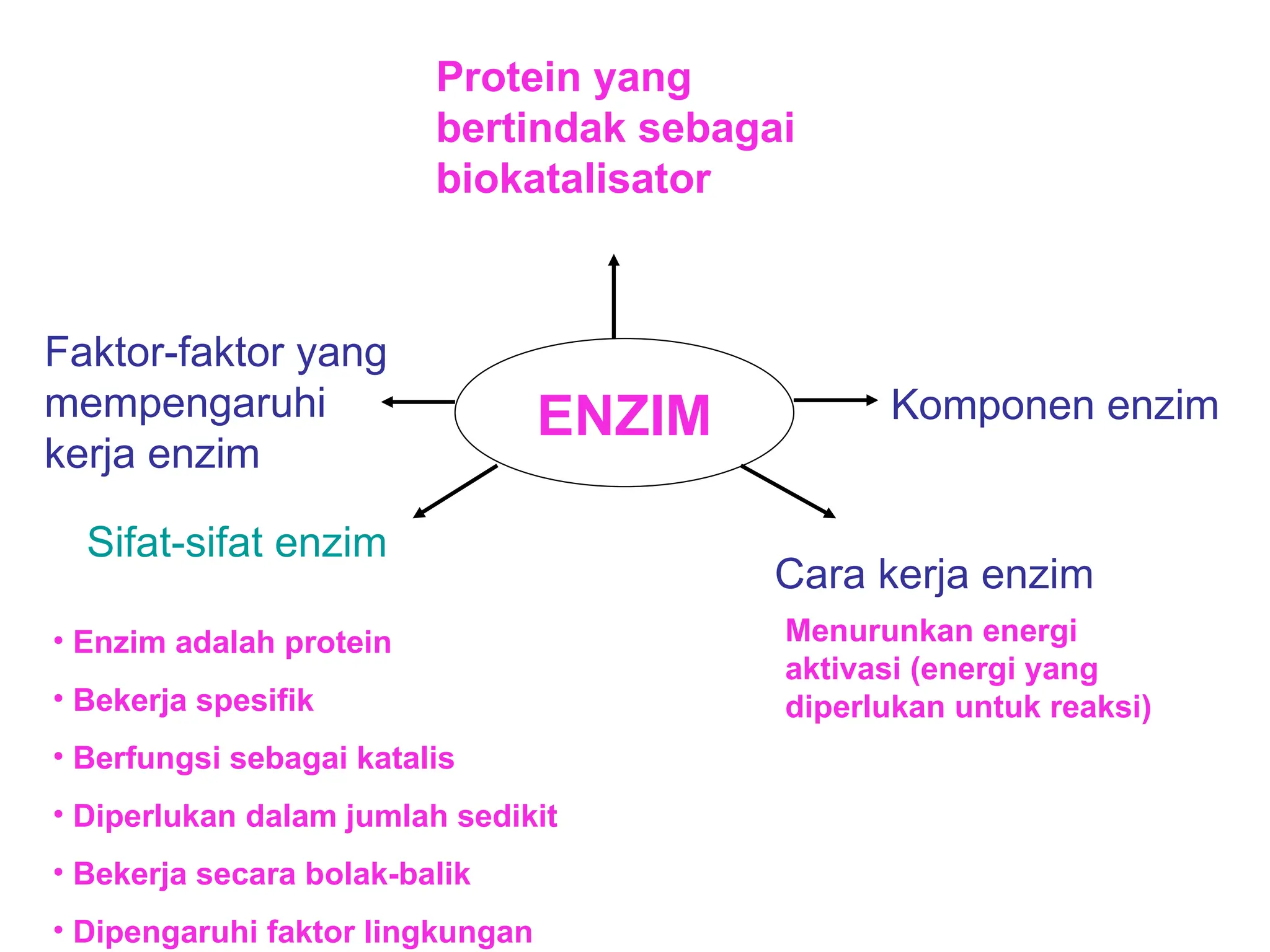 Metabolisme biologi, metabolisme biologi | PPT