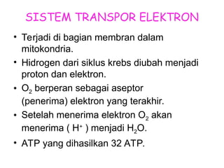 Metabolisme biologi, metabolisme biologi | PPT