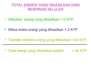 Metabolisme biologi, metabolisme biologi | PPT