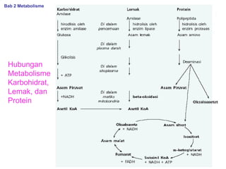 Metabolisme biologi, metabolisme biologi | PPT